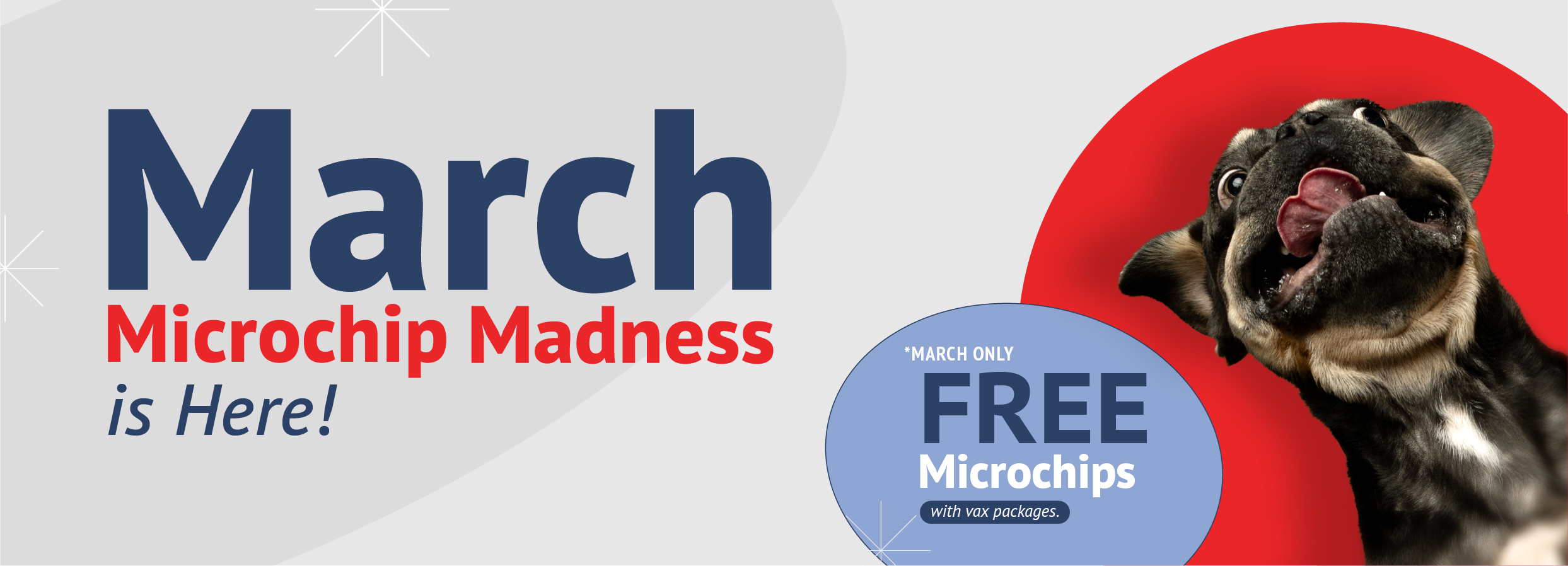 March Microchip Madness - Free Microchip with Package in Dallas - Fort ...